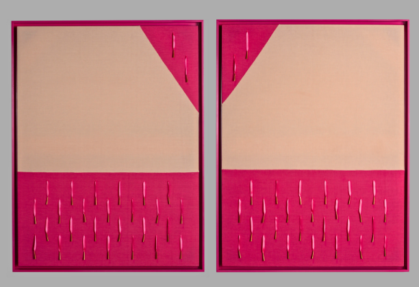 Woven Being: Art for Zhegagoynak/Chicagoland: Block Museum ...